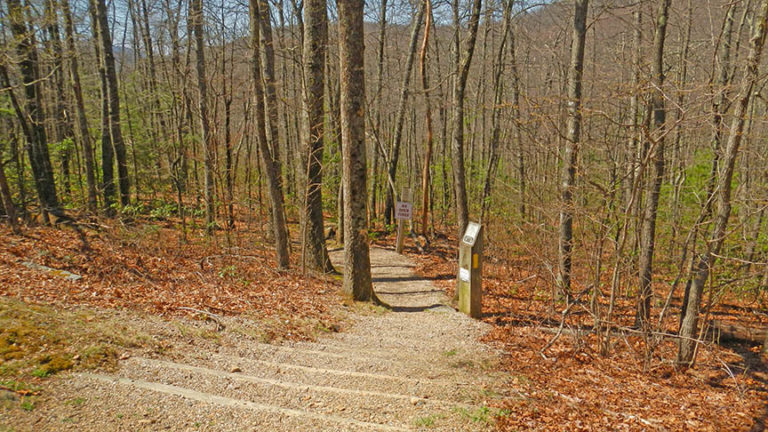 White Rock Falls - 3D Map, Photos and Directions - Blue Ridge Parkway ...