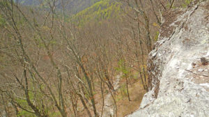 White Rock Falls - 3D Map, Photos and Directions - Blue Ridge Parkway ...