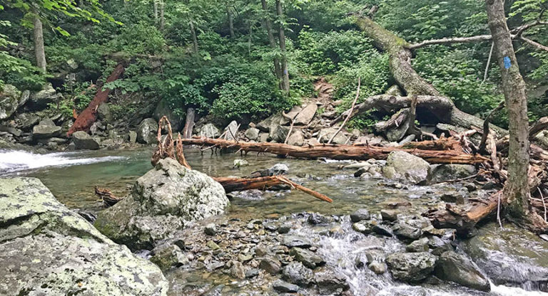 Falls of Cedar Run - 3D Map, Photos and Directions - Shenandoah ...