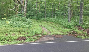 Falls of Dry Run Creek - 3D Map, Photos and Directions - Shenandoah ...