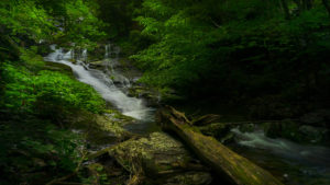 Falls of Jones Run - 3D Maps, Photos and Directions - Shenandoah ...