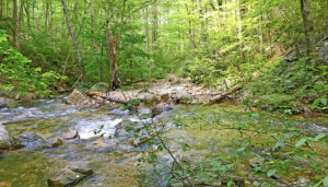 Riprap Falls - 3D Map, Photos and Directions - Shenandoah National Park ...