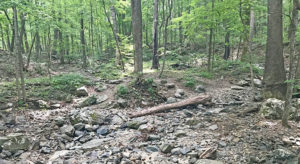 Overall Run Falls - 3D Map, Photos and Directions - Shenandoah National ...