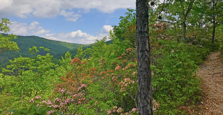 Riprap Falls - 3D Map, Photos and Directions - Shenandoah National Park ...